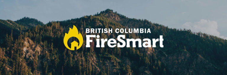 FireSmart BC announces mascot: Ember the FireSmart Fox - Island Social ...