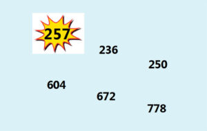 Adding 257 provides six area codes for phone numbers in BC - Island ...